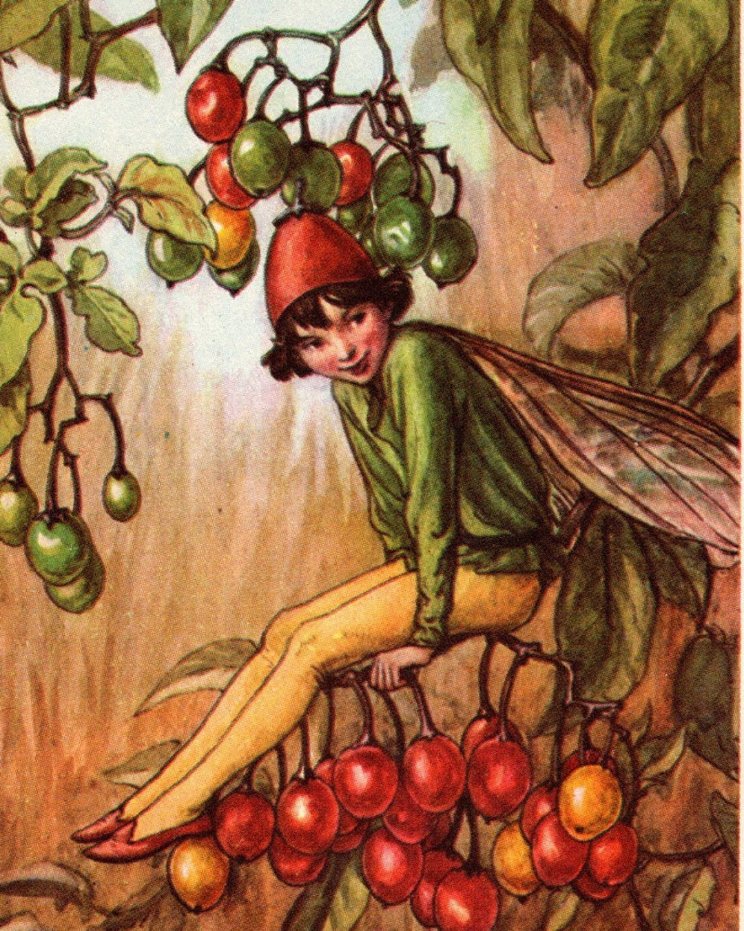 1960 Cicely Mary Barker flower Fairies of the Autumn the Nightshade ...