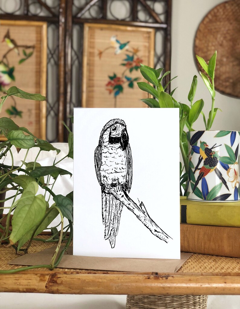 Parrot Fine Art Print - Hand Illustrated Tropical Parrot Printed on ...