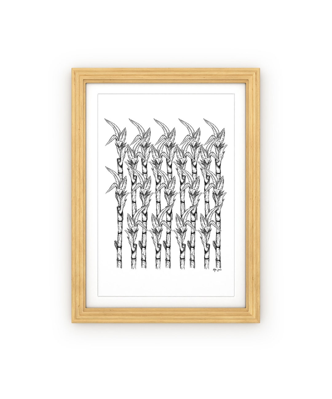 Bamboo Art Print Hand Illustrated Bamboo Bamboo Printed on - Etsy
