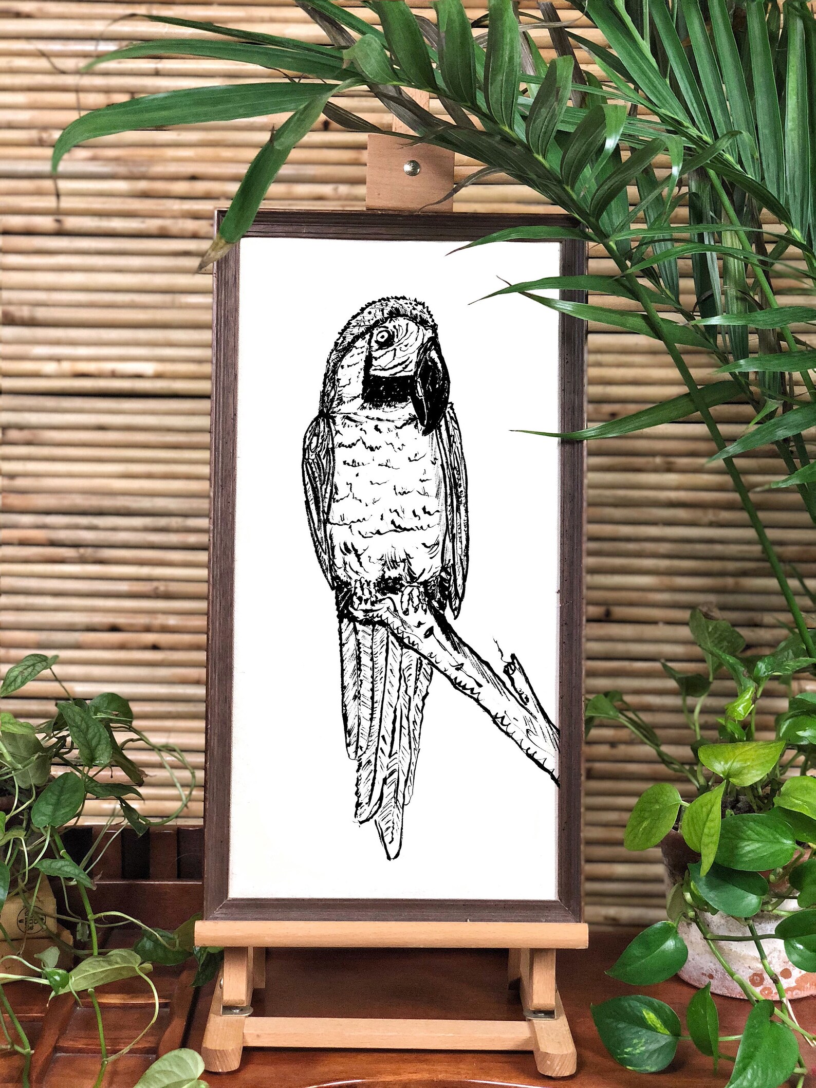 Parrot Fine Art Print - Hand Illustrated Tropical Parrot Printed on ...