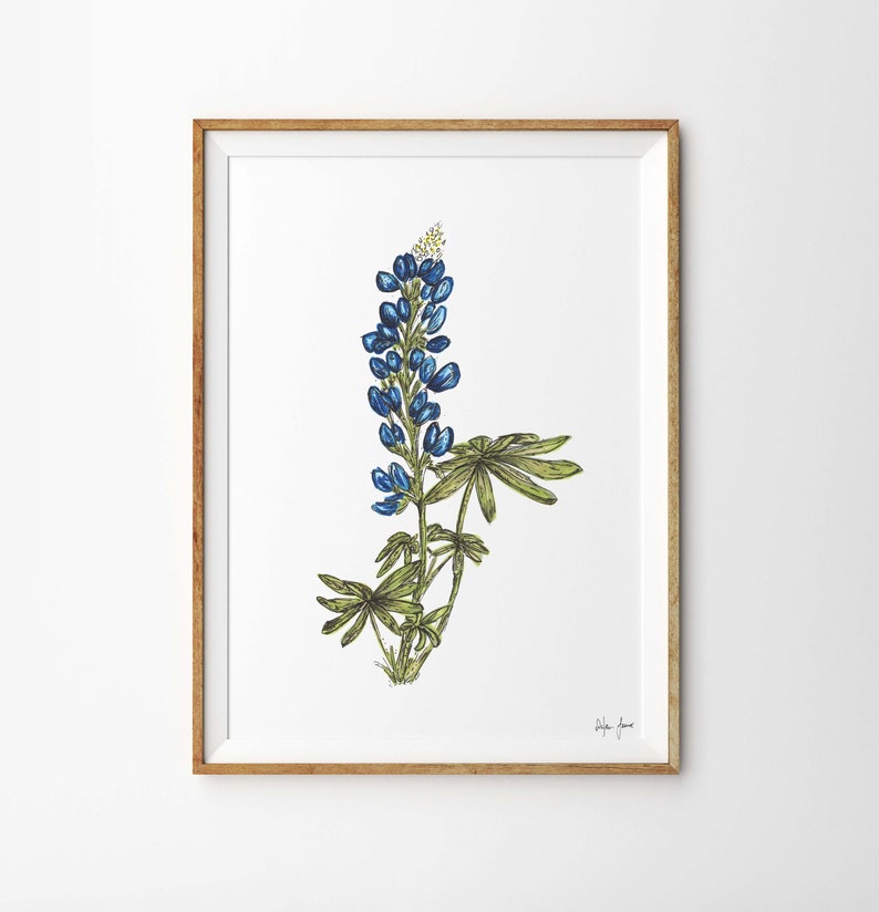 Texas Bluebonnets Art Print Hand Illustrated Texas - Etsy