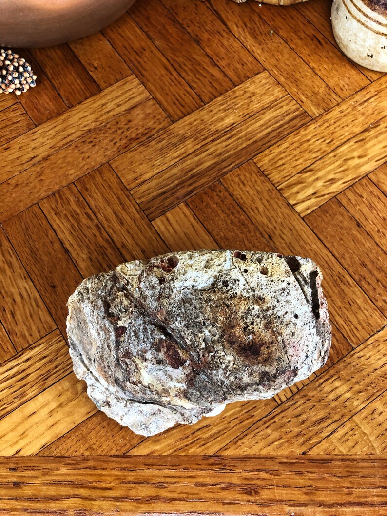 AGATE GEODE Beautiful Geode Half Eclectic Gifts Lava Rocks - Etsy