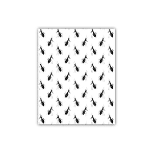 ANT Illustration Art Print - Hand Drawn Ants Illustration Printed on ...