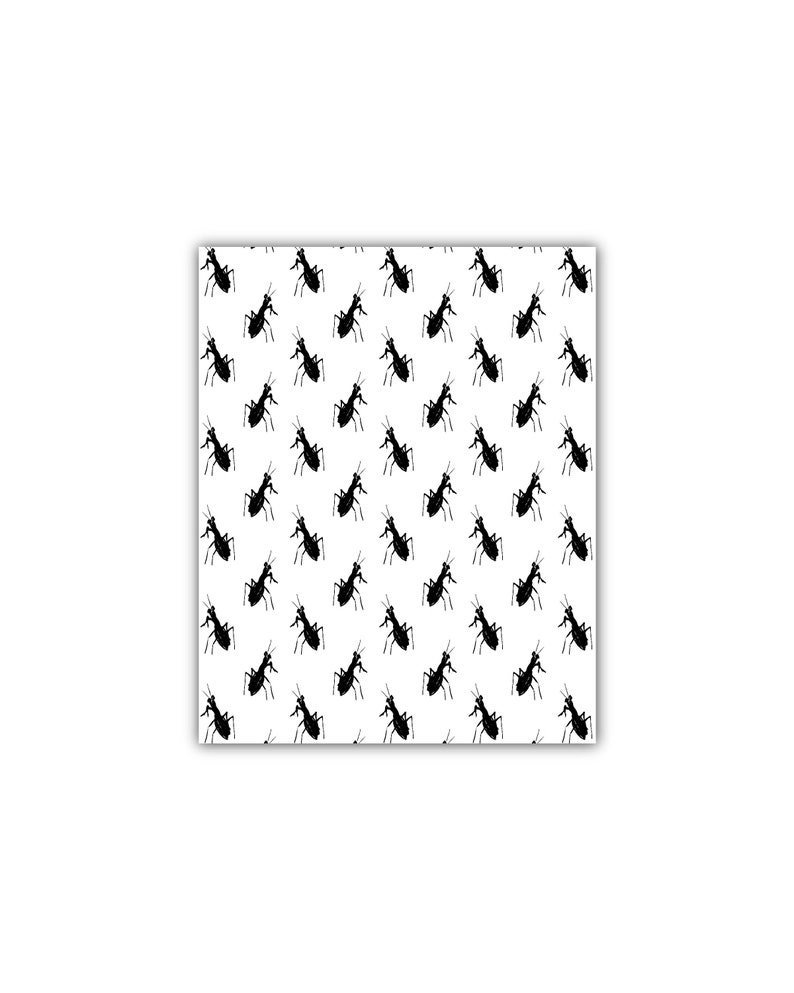 ANT Illustration Art Print Hand Drawn Ants Illustration - Etsy