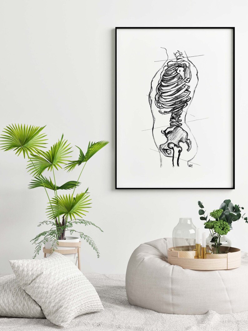 Male Torso Anatomy Fine Art Print Hand Illustrated Skeletal | Etsy