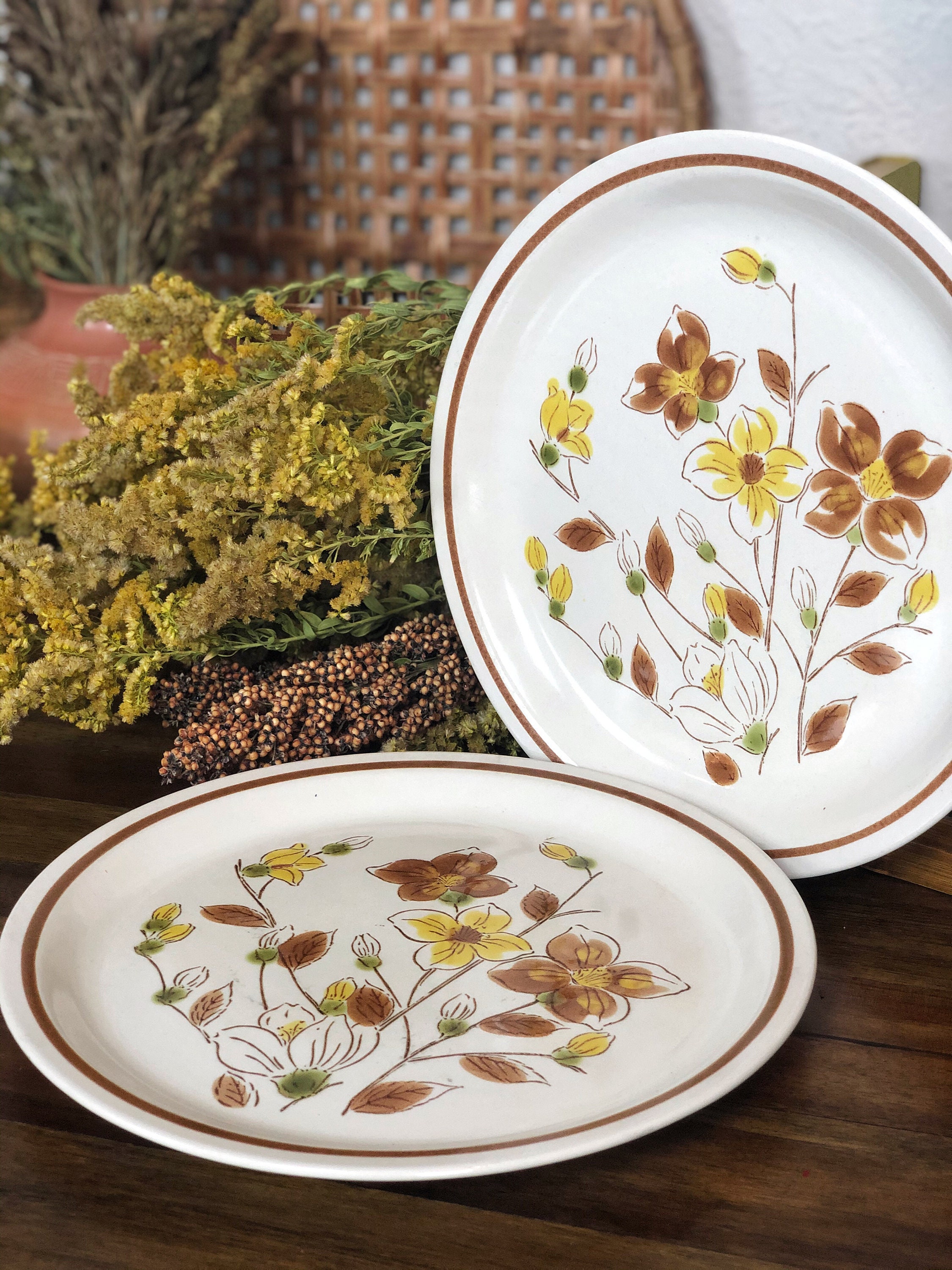 Vintage Camelot Stone Plates - Set of 2 Country Charm Dinner Plates ...