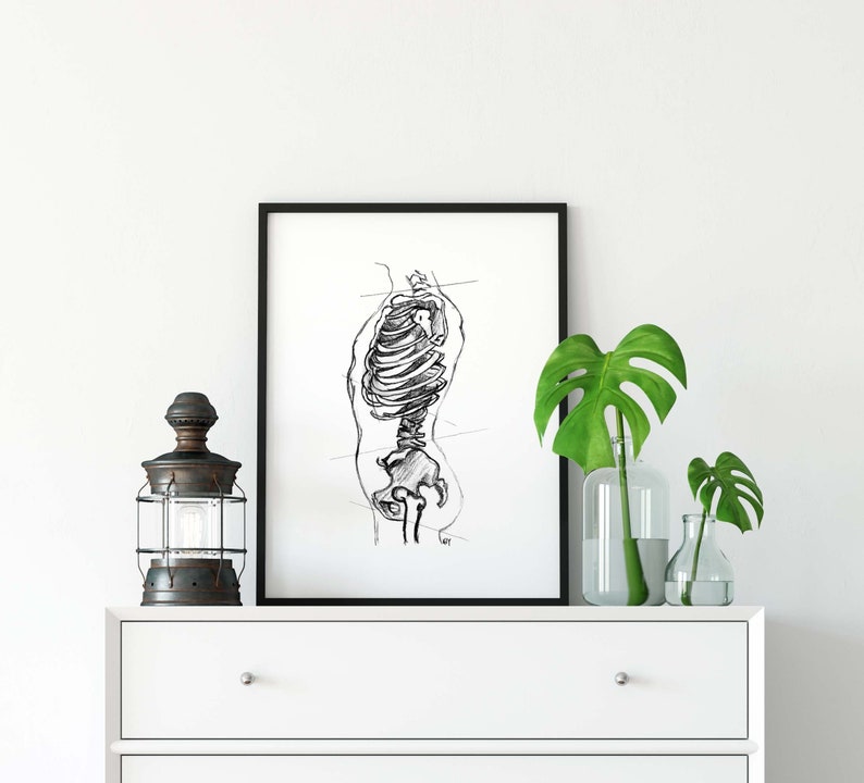 Male Torso Anatomy Fine Art Print Hand Illustrated Skeletal | Etsy