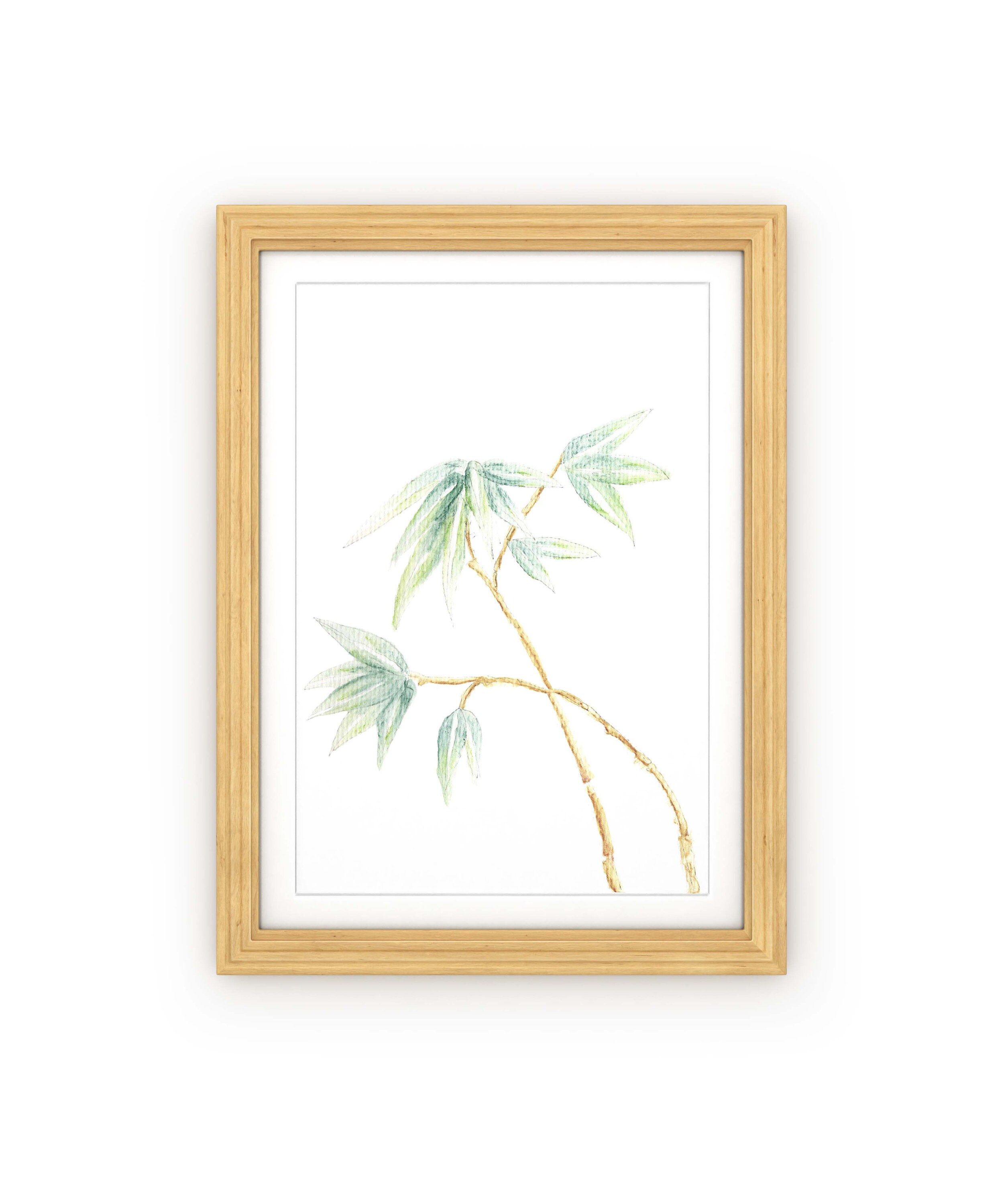 Bamboo Art Print - Hand Illustrated Watercolor Pencil Bamboo Printed on ...