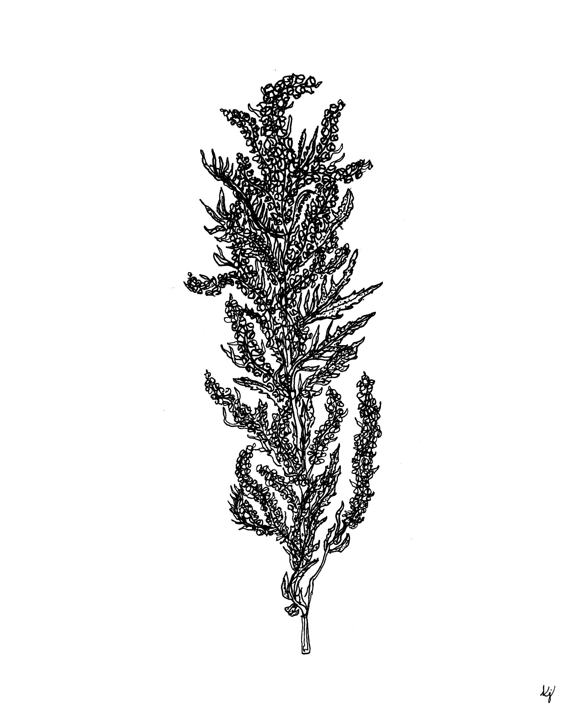 Flower Poster Hand Drawn Flower Art Girls Room Art Nursery | Etsy