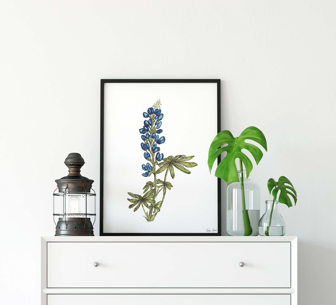 Texas Bluebonnets Art Print - Hand Illustrated Texas Bluebonnet Flower ...