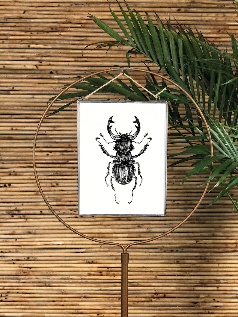 Black Beetle Wall Art Beetle Art Bug Print Black Ink - Etsy