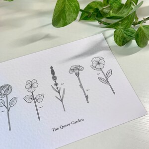 The Queer Garden Art Print Queer Flowers, Vintage Botanical Art ...