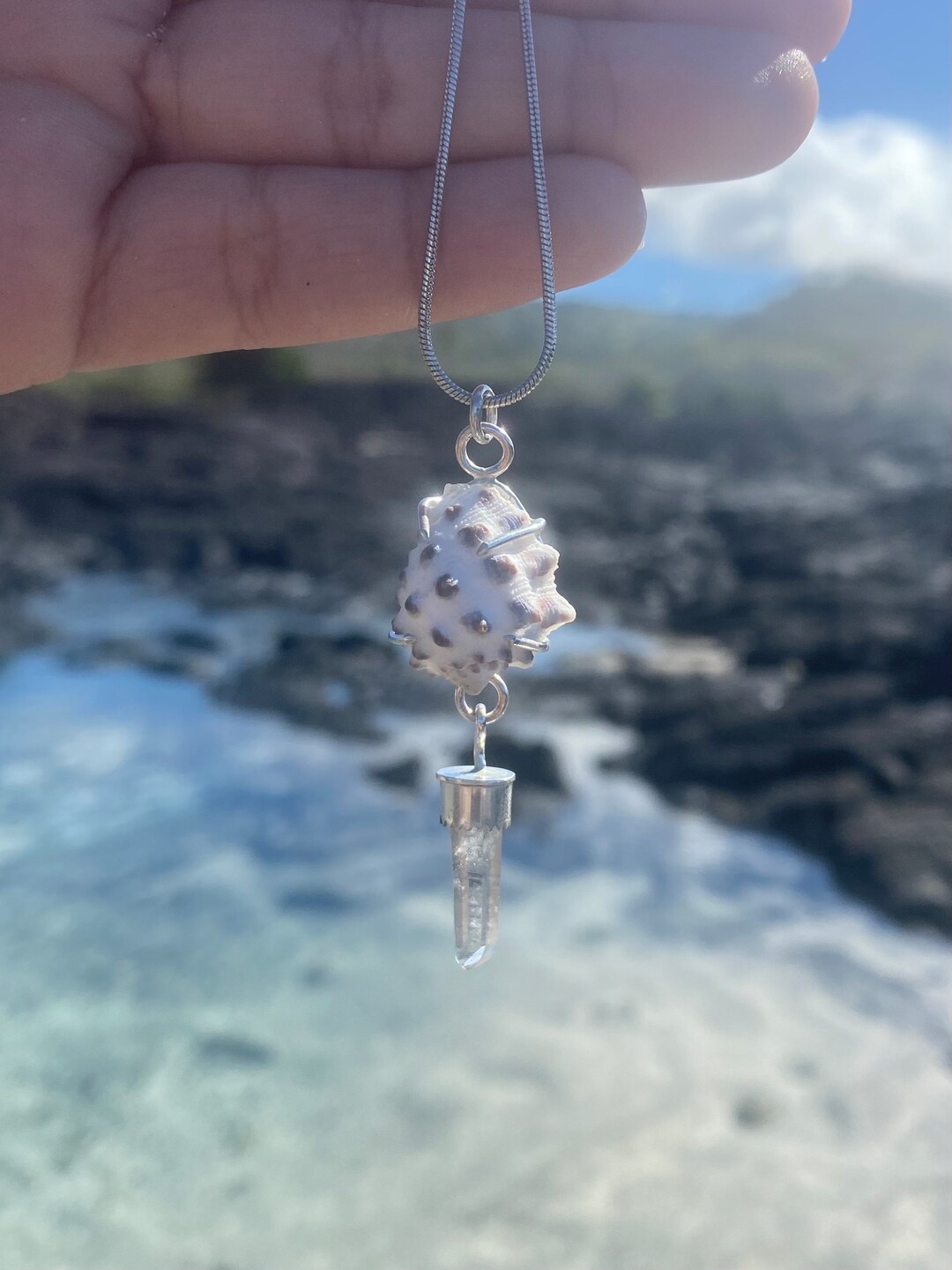 Clear Hansen Creek Quartz Crystal and White Spikey Cowrie Shell ...