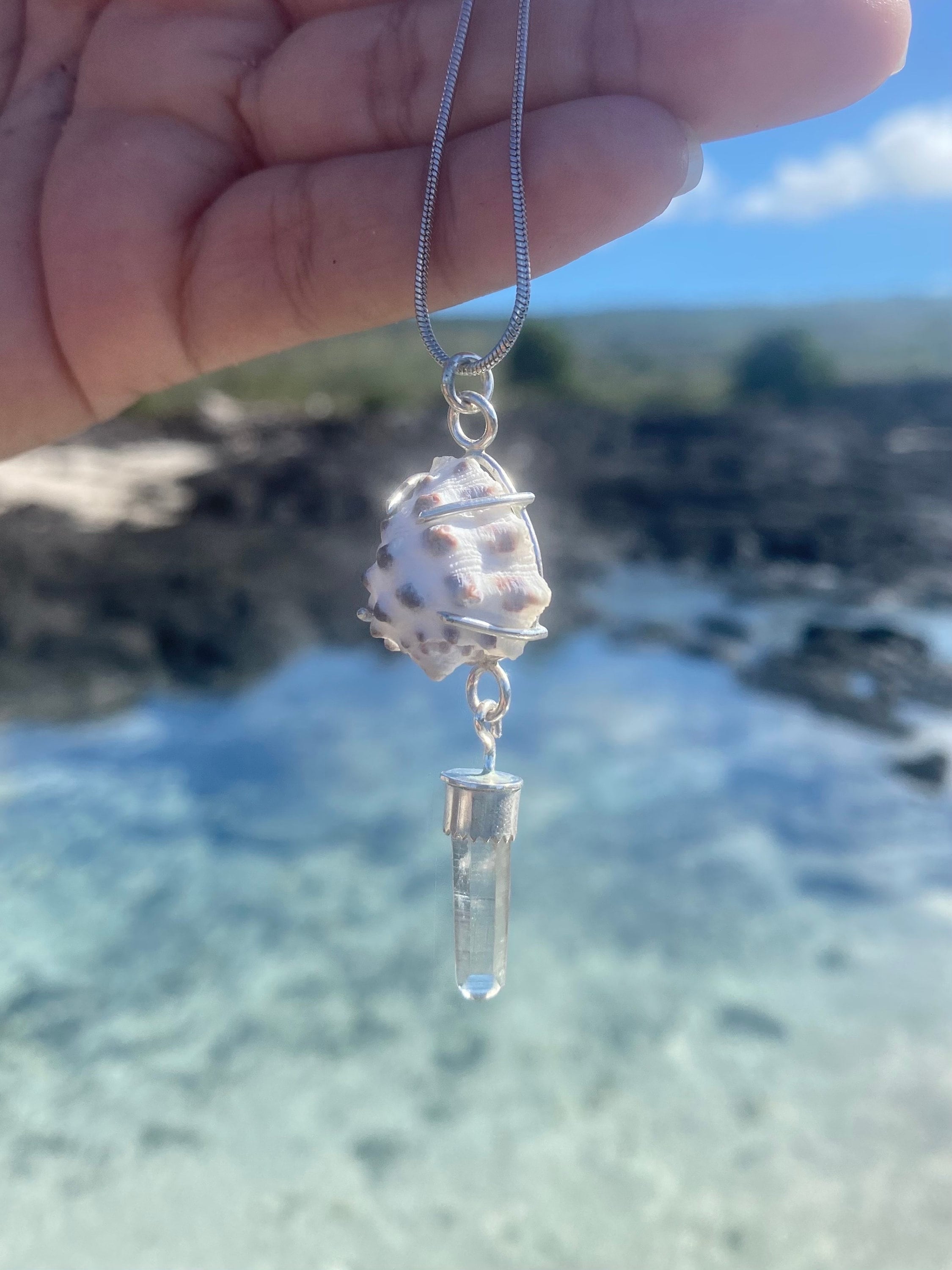 Clear Hansen Creek Quartz Crystal and White Spikey Cowrie Shell ...