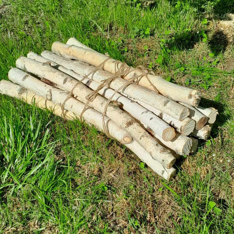 Birch Logs - Etsy