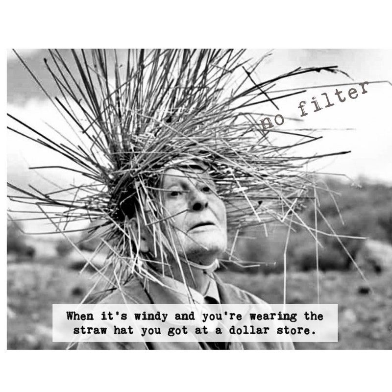 Funny Greeting Card Adult - Etsy