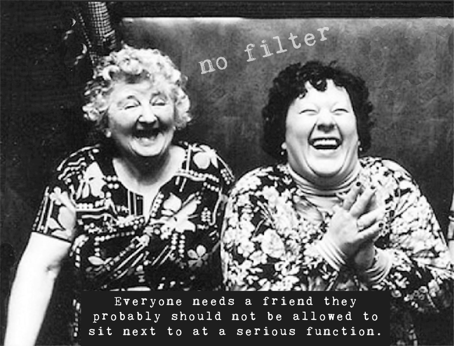 Everyone Needs A Friend: Vintage Photograph Greeting Card; Sassy ...