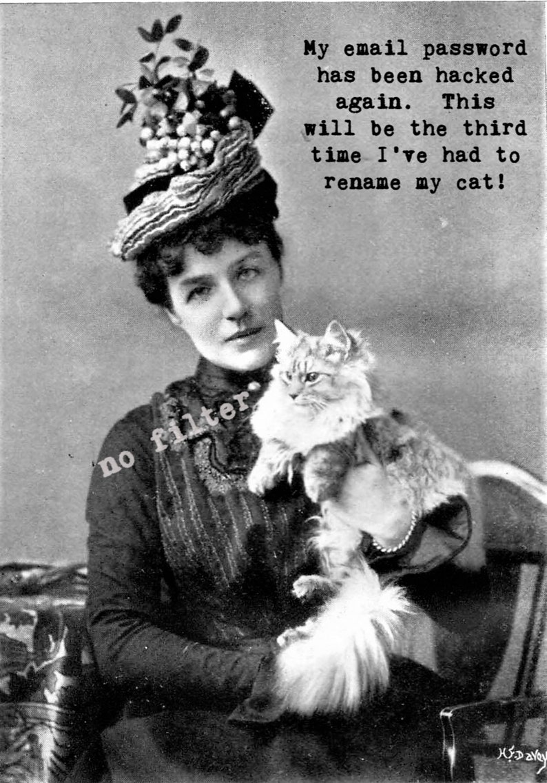Cat and the Hat: Vintage Photograph Greeting Card; Sassy, Humorous ...
