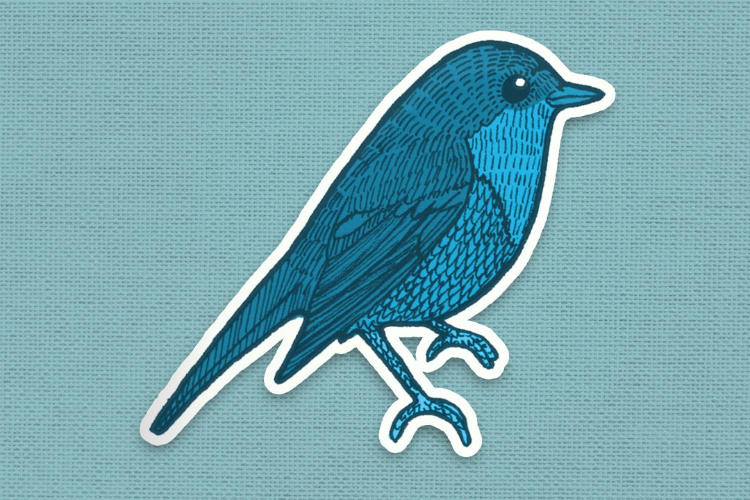 Cute Bird Stickers | Blue Bird Vinyl Decal | Bird Bumper Sticker - Etsy