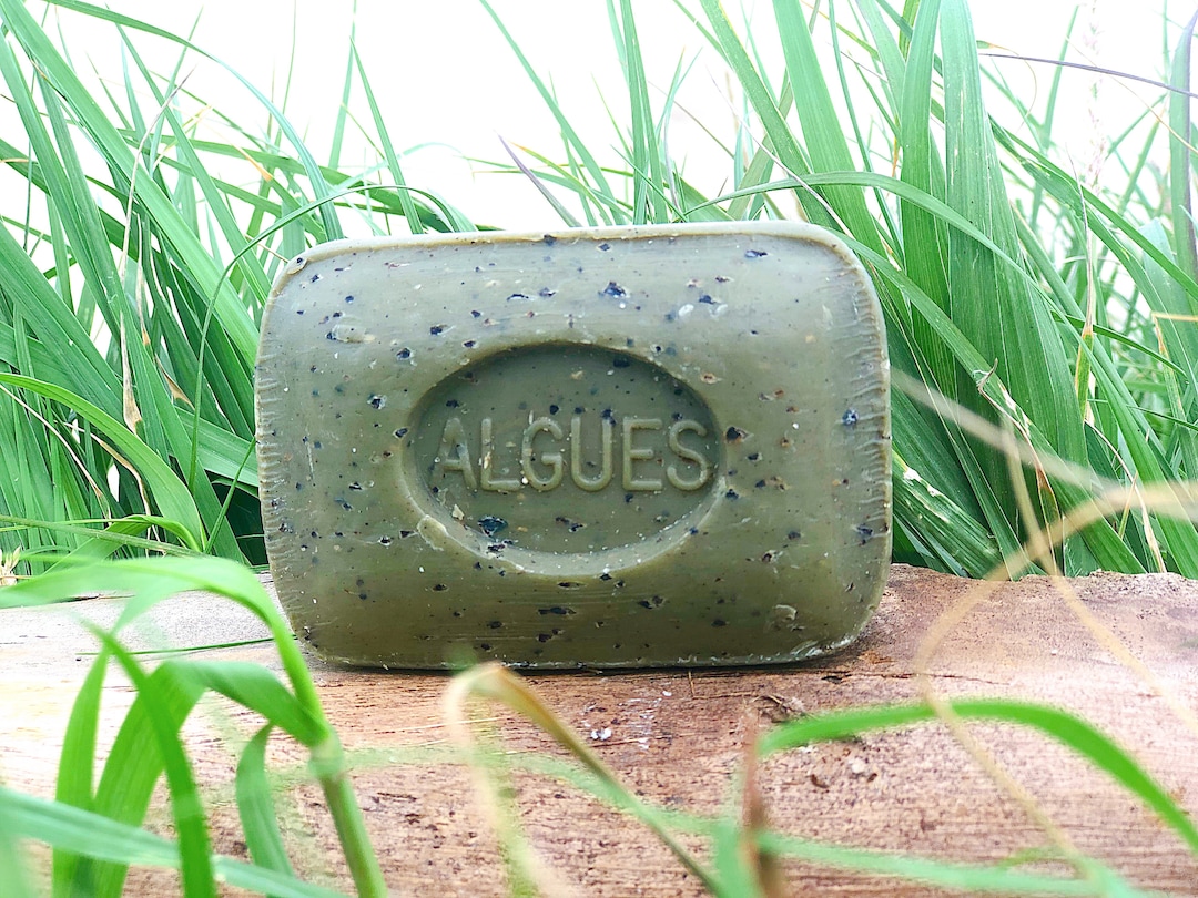 Algae With Crushed Seaweed Flakes Bar Soap Made in France 100 Grams - Etsy