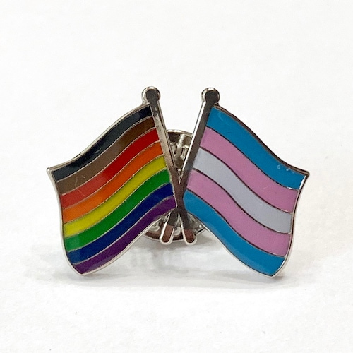 Progress Pride Flag Pin | Etsy