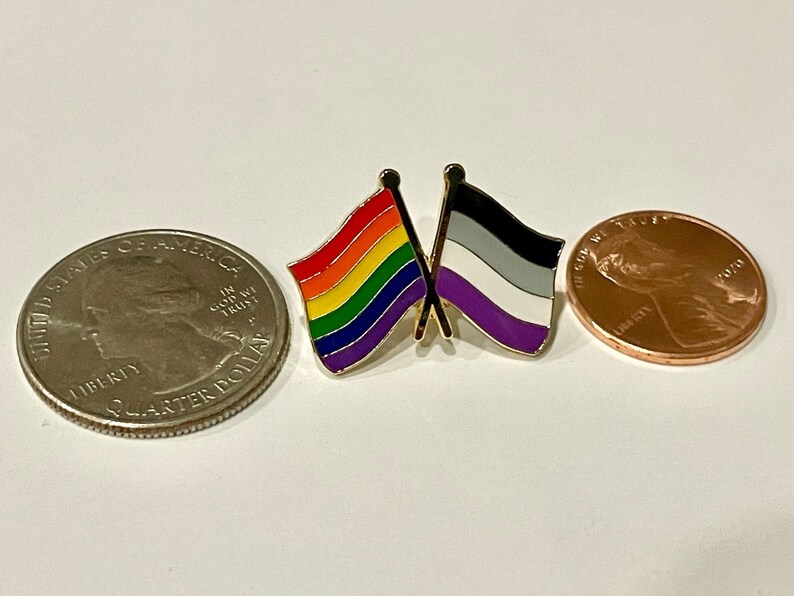The LGBTQ ASEXUAL ace Rainbow Pride DOUBLE Flag Pin Badge - Etsy
