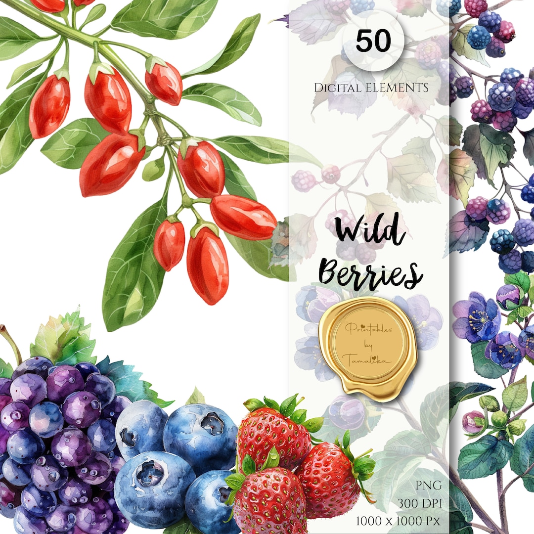 50 Watercolor Summer Berries Clipart, Strawberry Clipart, Blueberry ...