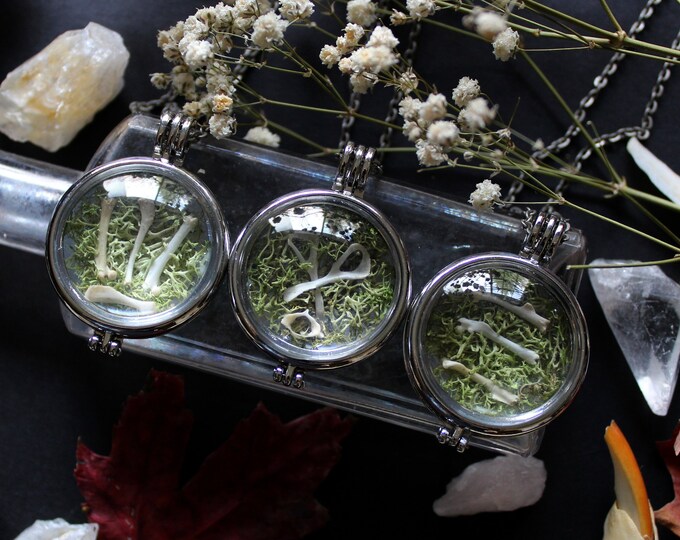 Crystal Ball Bone Locket Oddities and Curiosities // - Etsy