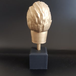 Task Master Trophy Replica(free Small Trophy With Each 44cm Trophy ...