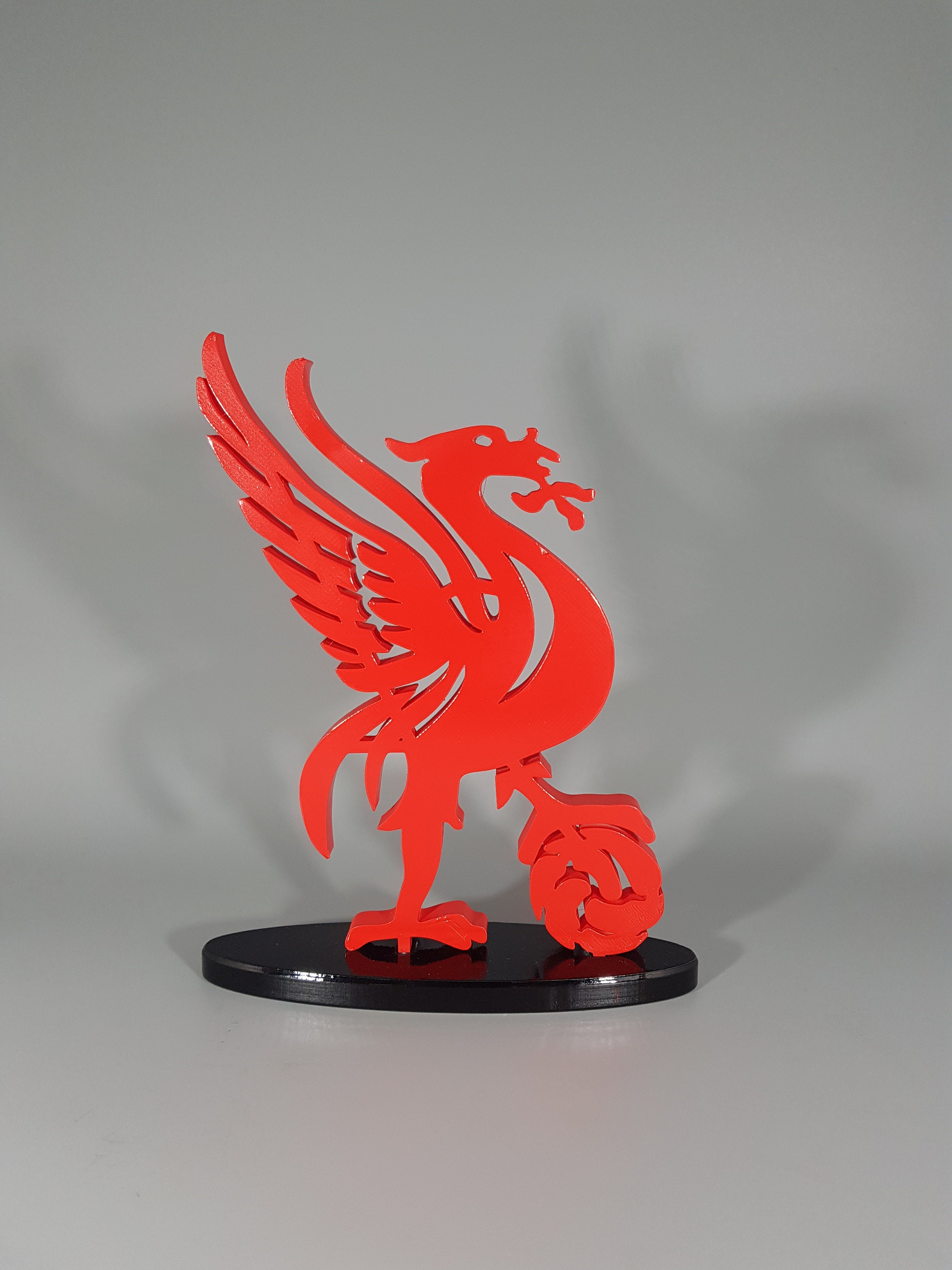 LIVERBIRD - Etsy