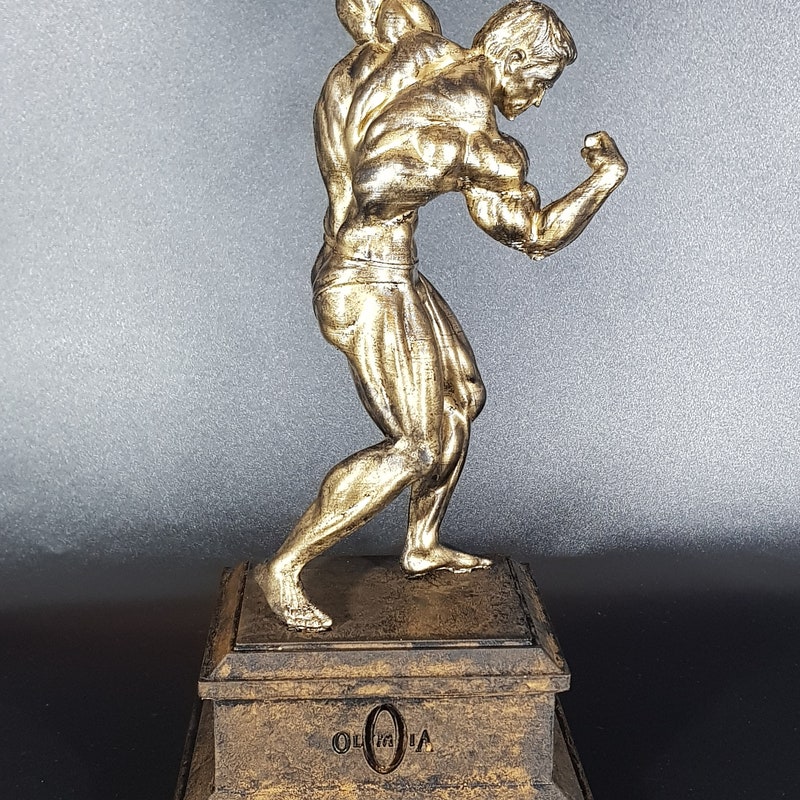 Titan Steel Bodybuilder - Etsy Canada