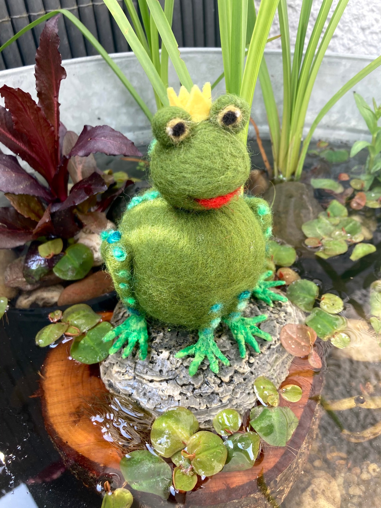 Buy Needle Felted Frog Soft Frog Sculpture Prince Frog Online in India ...
