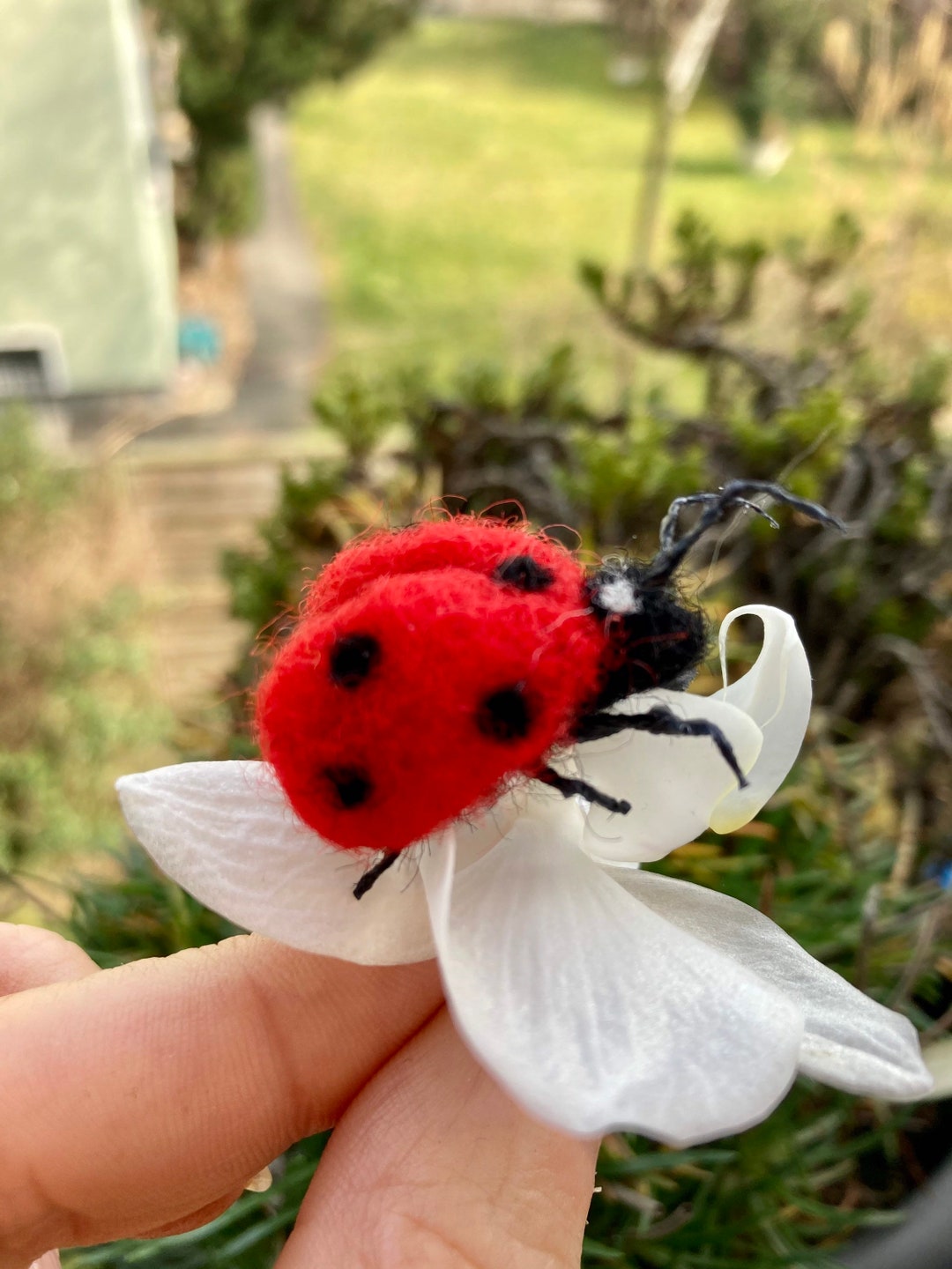 Needle Felted Ladybug: Realistic Merino Wool Ladybird, Good Luck Charm ...
