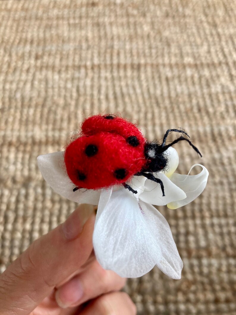 Needle Felted Ladybug Felted Ladybird Realistic Ladybug Felted | Etsy