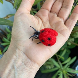Needle Felted Ladybug Felted Ladybird Realistic Ladybug Felted Insect ...