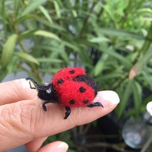 Needle Felted Ladybug Felted Ladybird Realistic Ladybug Felted Insect ...