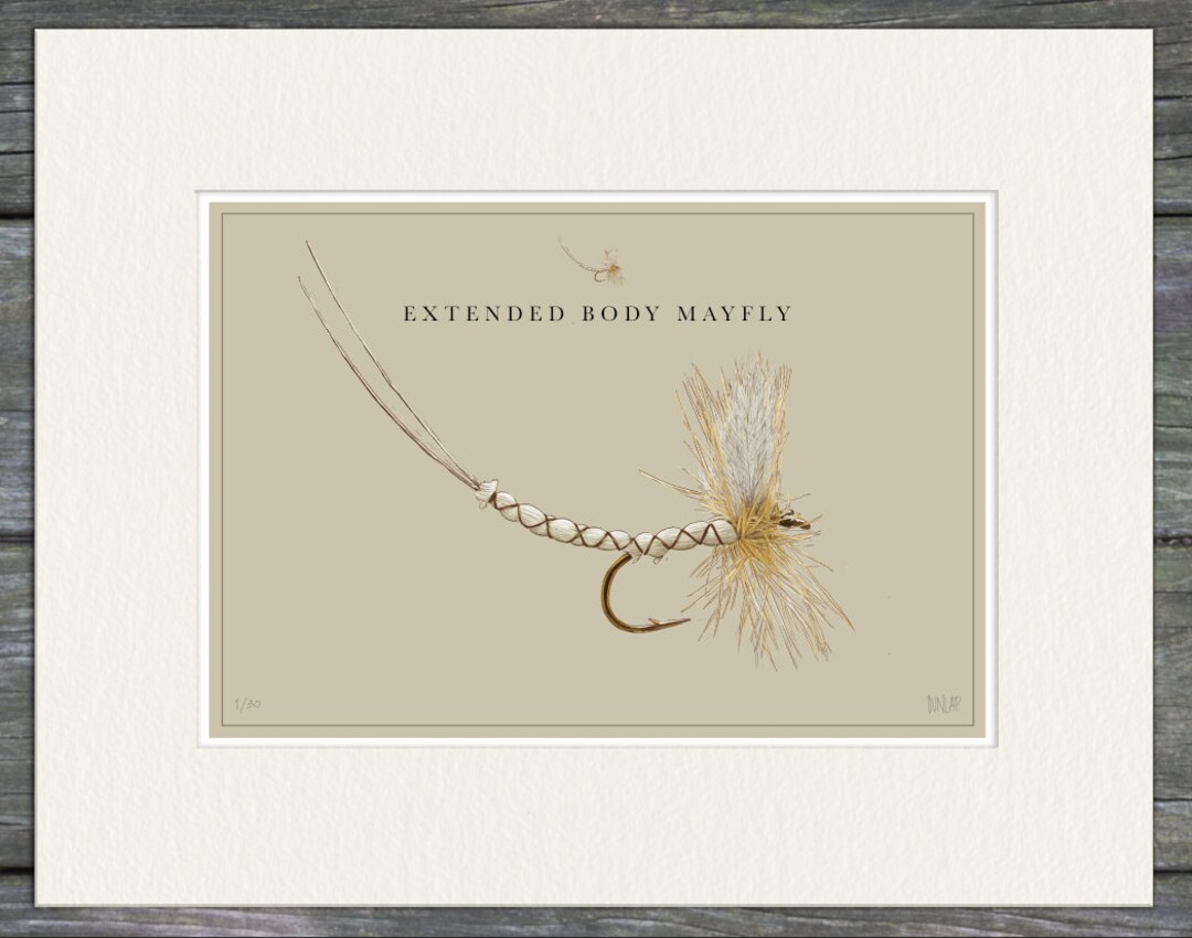 Extended Body Mayfly Fine Art Print - Etsy