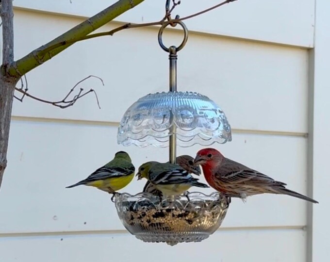 Hanging Bird Feeder, 1960s VINTAGE GLASS, SMALL Hanging Bird Feeder ...
