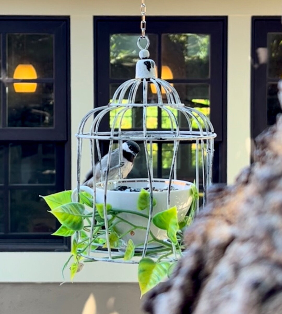 Teacup Bird Feeder, 1960s Vintage BAVARIAN CHINA in Rustic Bird Cage ...