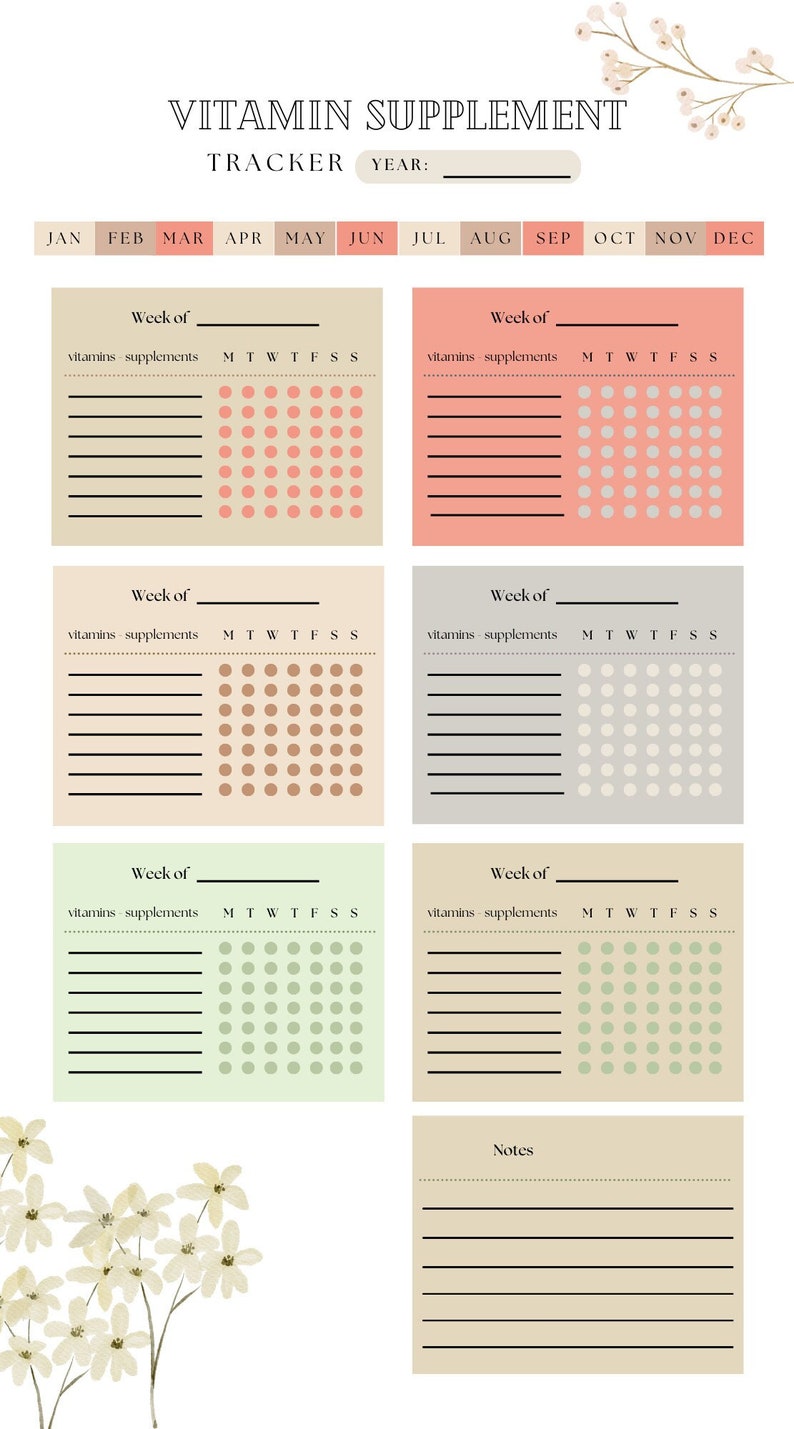 Supplement Vitamin Tracker for Planner - Etsy