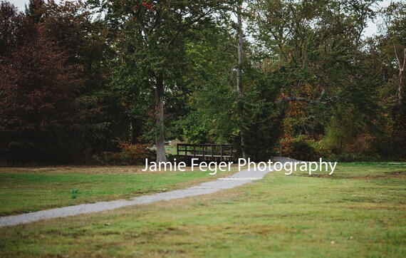 Fall Foliage Rustic Walking Path Digital Backdrop for - Etsy