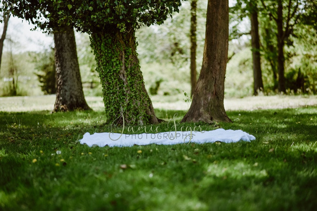 INSTANT DOWNLOAD - Open Field in Wooded Park Digital Backdrop - Digital ...