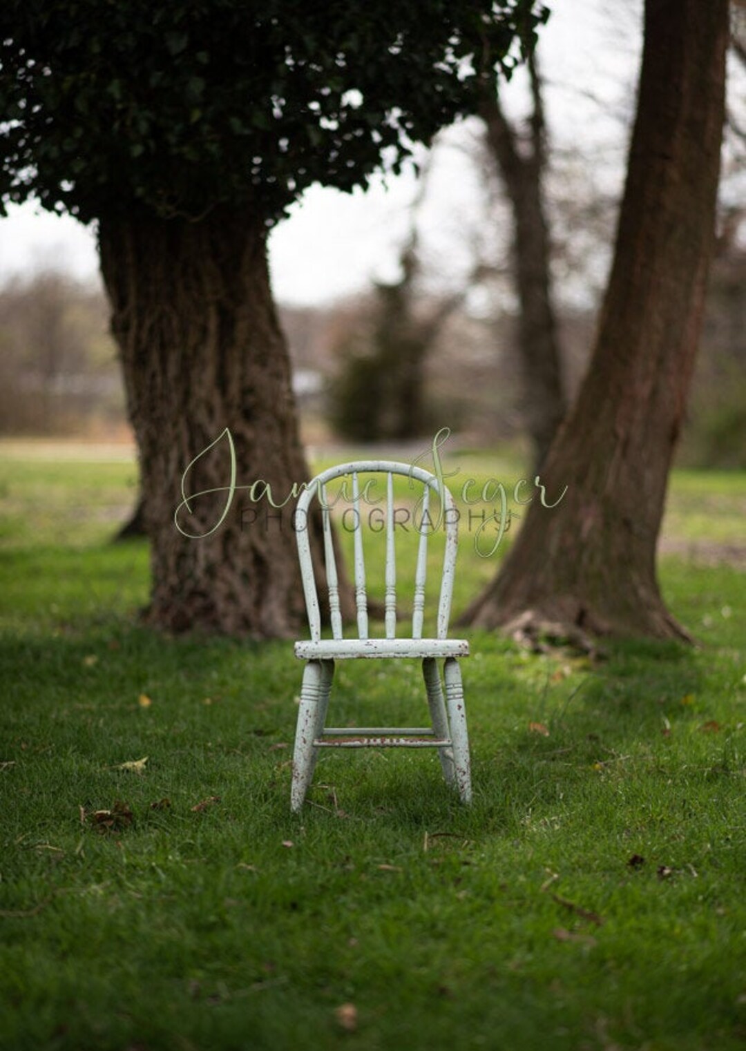 INSTANT DOWNLOAD - Farm House, Rustic Chair in Spring Forest Digital ...