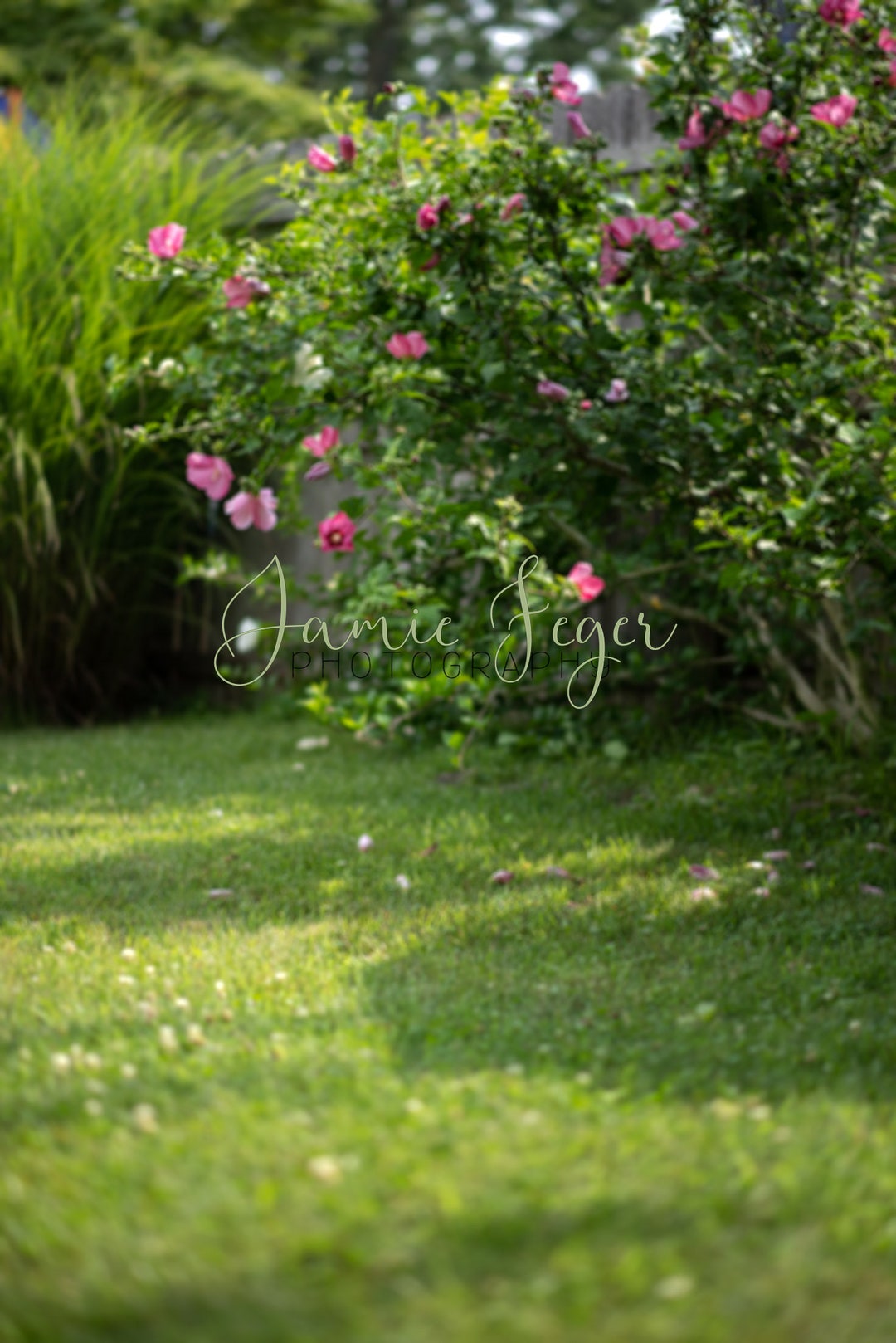 INSTANT DOWNLOAD - Field With Spring Flowers Digital Backdrop - Digital ...
