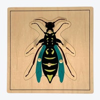 PARTS of a WASP Montessori Wood Puzzle Biology Insects Cabinet Ladybug ...