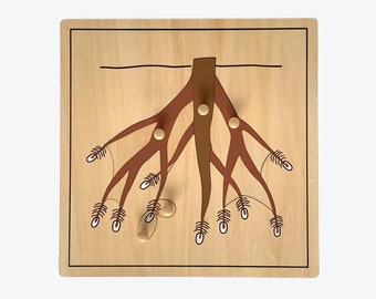 Montessori Botany - Etsy