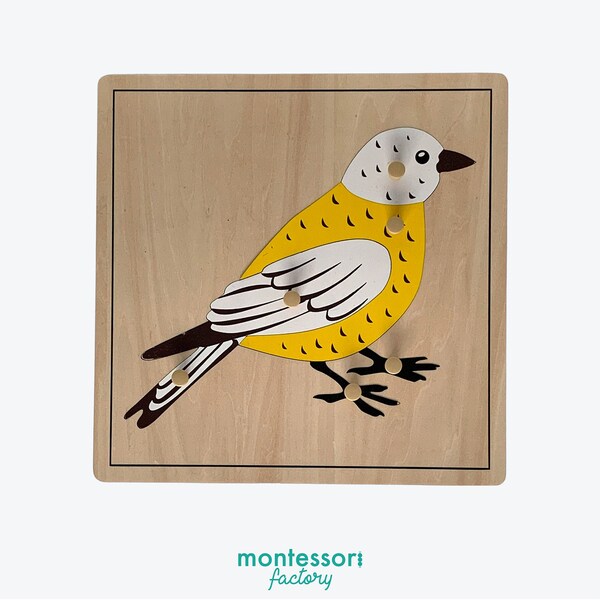 Bird Flower Frog - Etsy