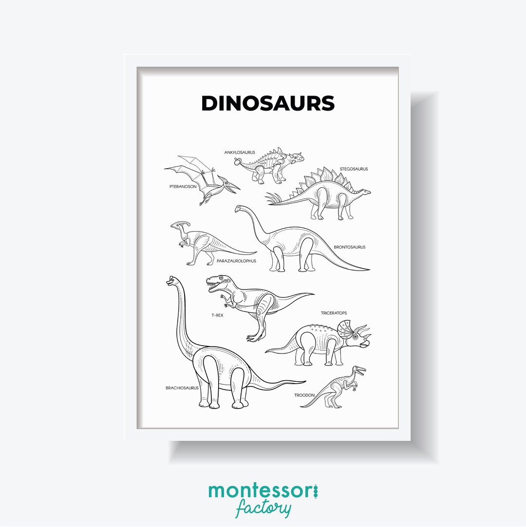 DINOSAURS Science Kids Room Wall Art Decor Montessori Kindergarten ...
