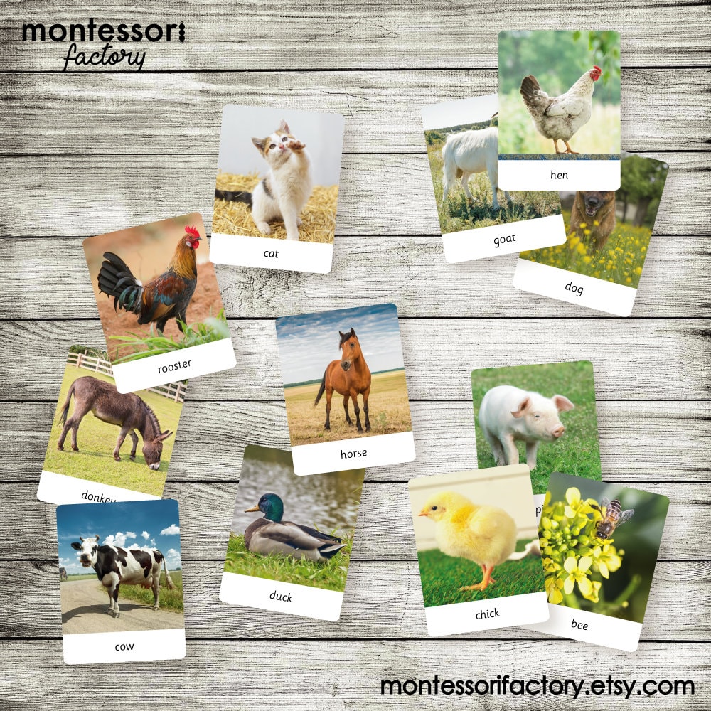 FARM ANIMALS Montessori Cards Flash Cards Three Part - Etsy
