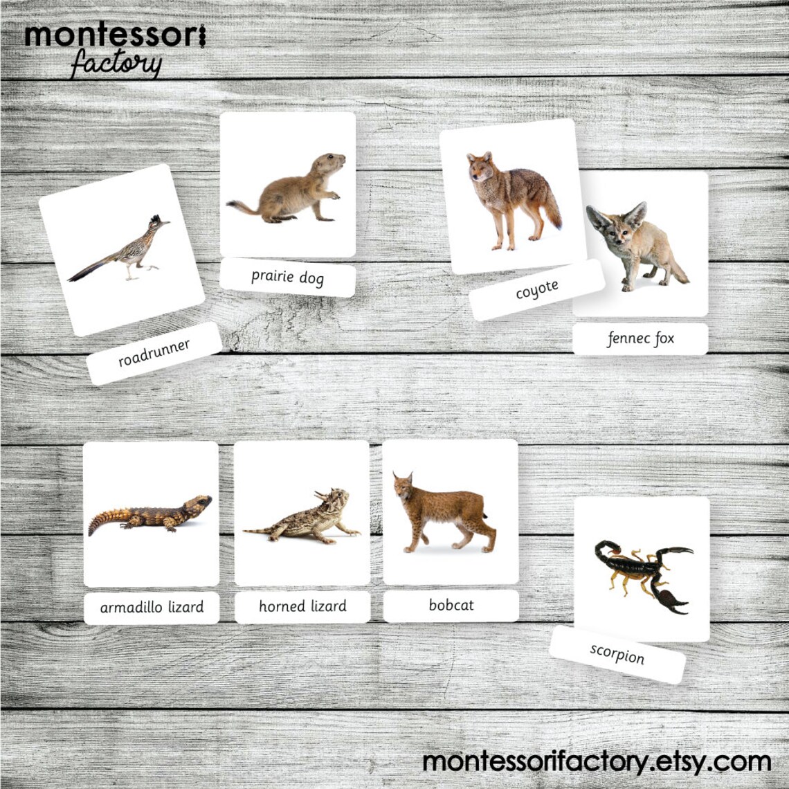 DESERT ANIMALS Montessori Cards Flash Cards Three Part - Etsy